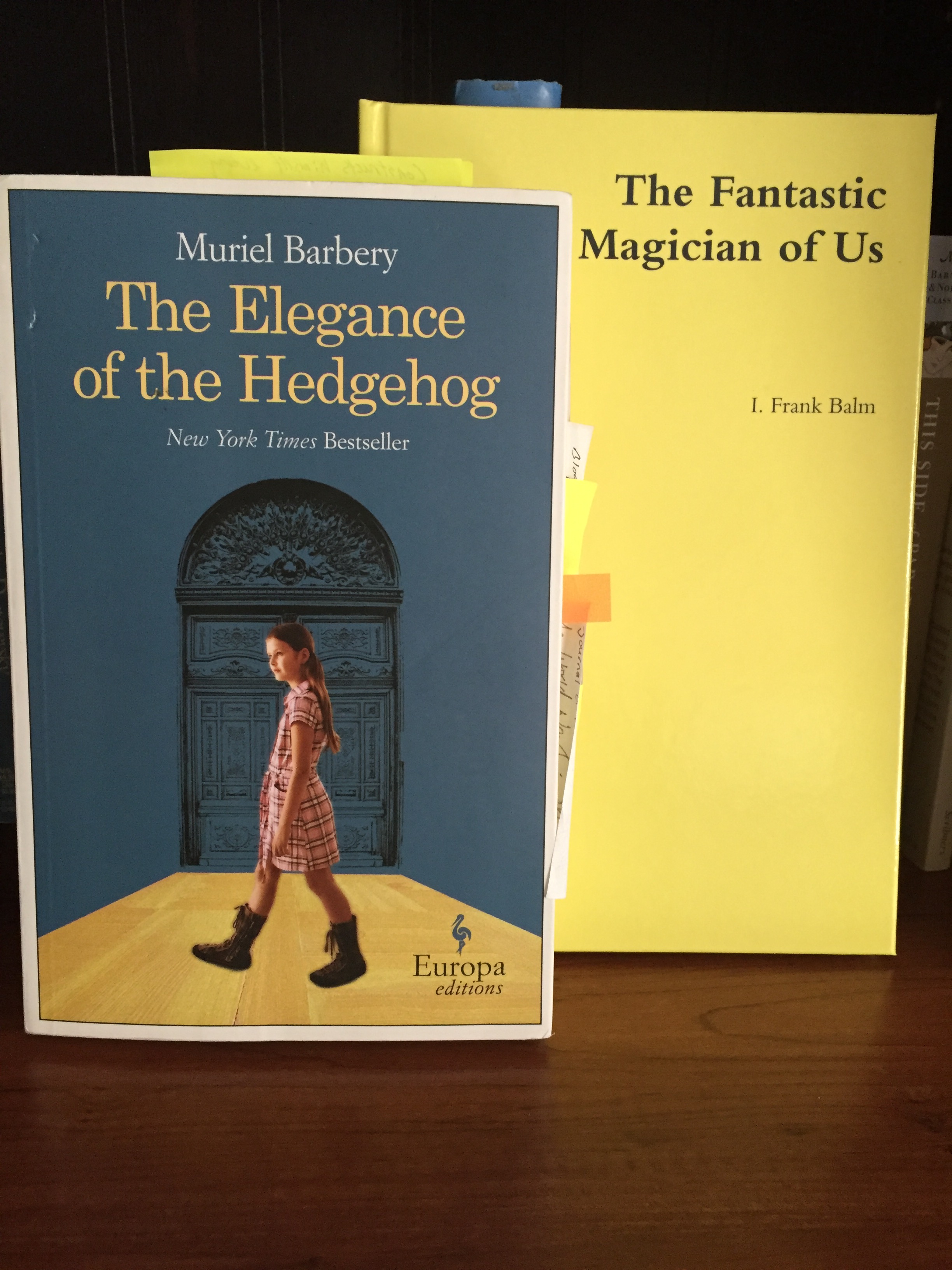 Literary Characters Who Kept Journals: Paloma Josse and Renee Michel ...